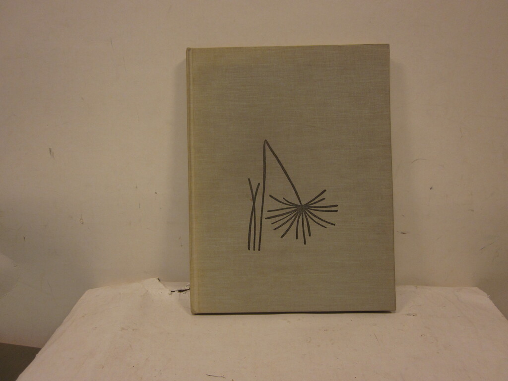 The Death of the Lake / Merom, Peter - הגלריה לספרות - ספרים משומשים ...